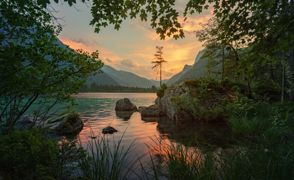 F.A.S.T (First Aid Stress Tool) Technique – Caring Hands Chiropractic